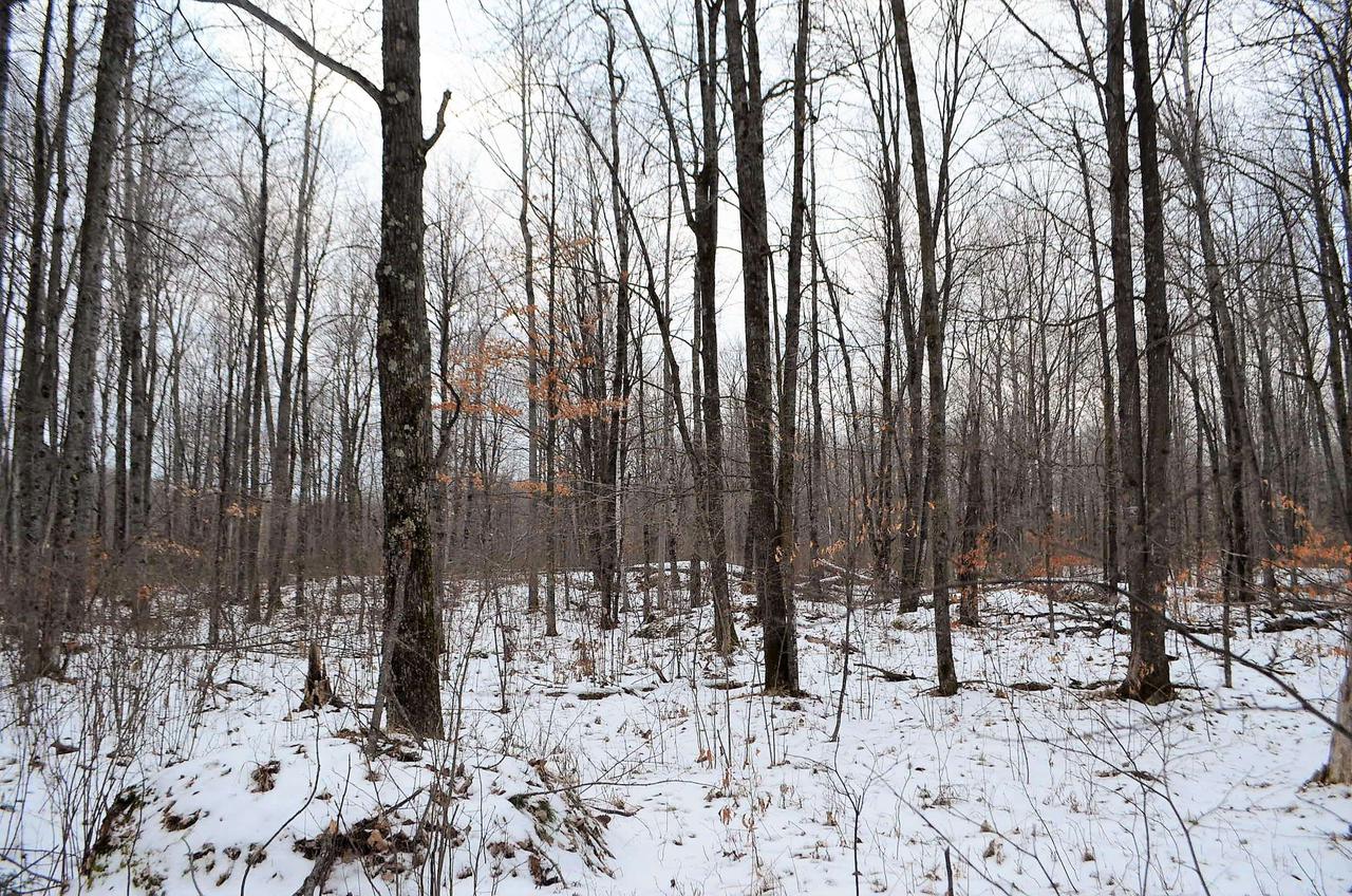 County Rd Y, Plover, 54440