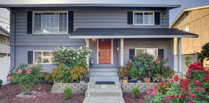 Fremont Zip Code Map 94536, 94538, 94539 | Postal Codes for Fremont CA
