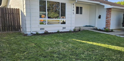 Fremont Zip Code Map 94536, 94538, 94539 | Postal Codes for Fremont CA