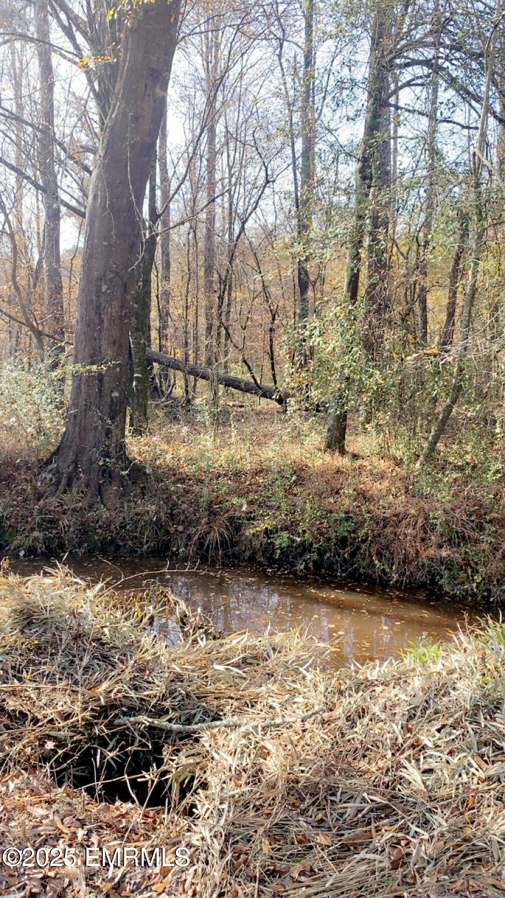 6464 Newton Conehatta Road, Decatur, 39327