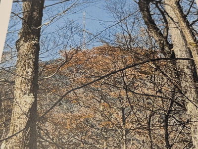 Vermont Homestead Declaration & Property Tax Guide | Department of Taxes